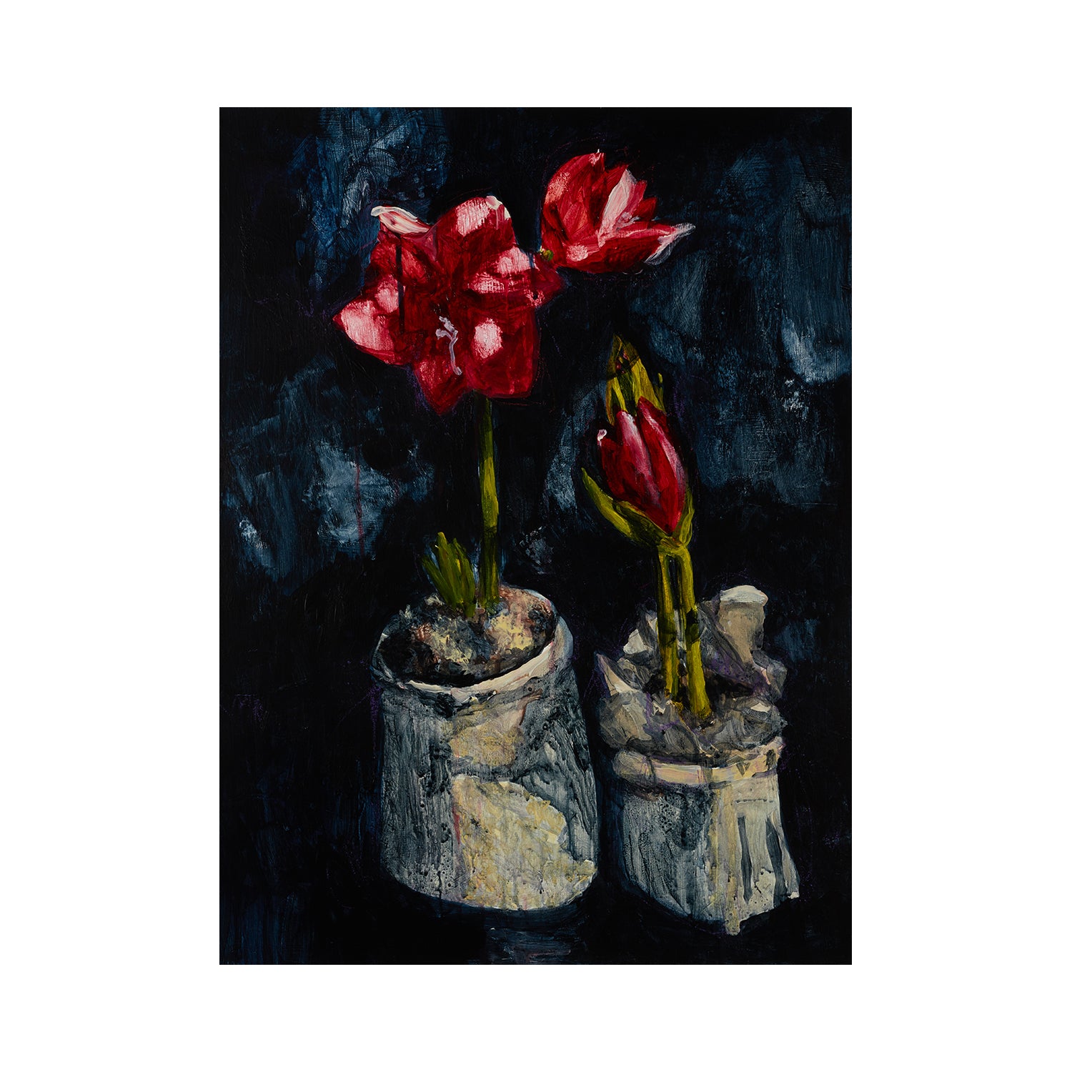 Crocusses – Studio Gallery Group