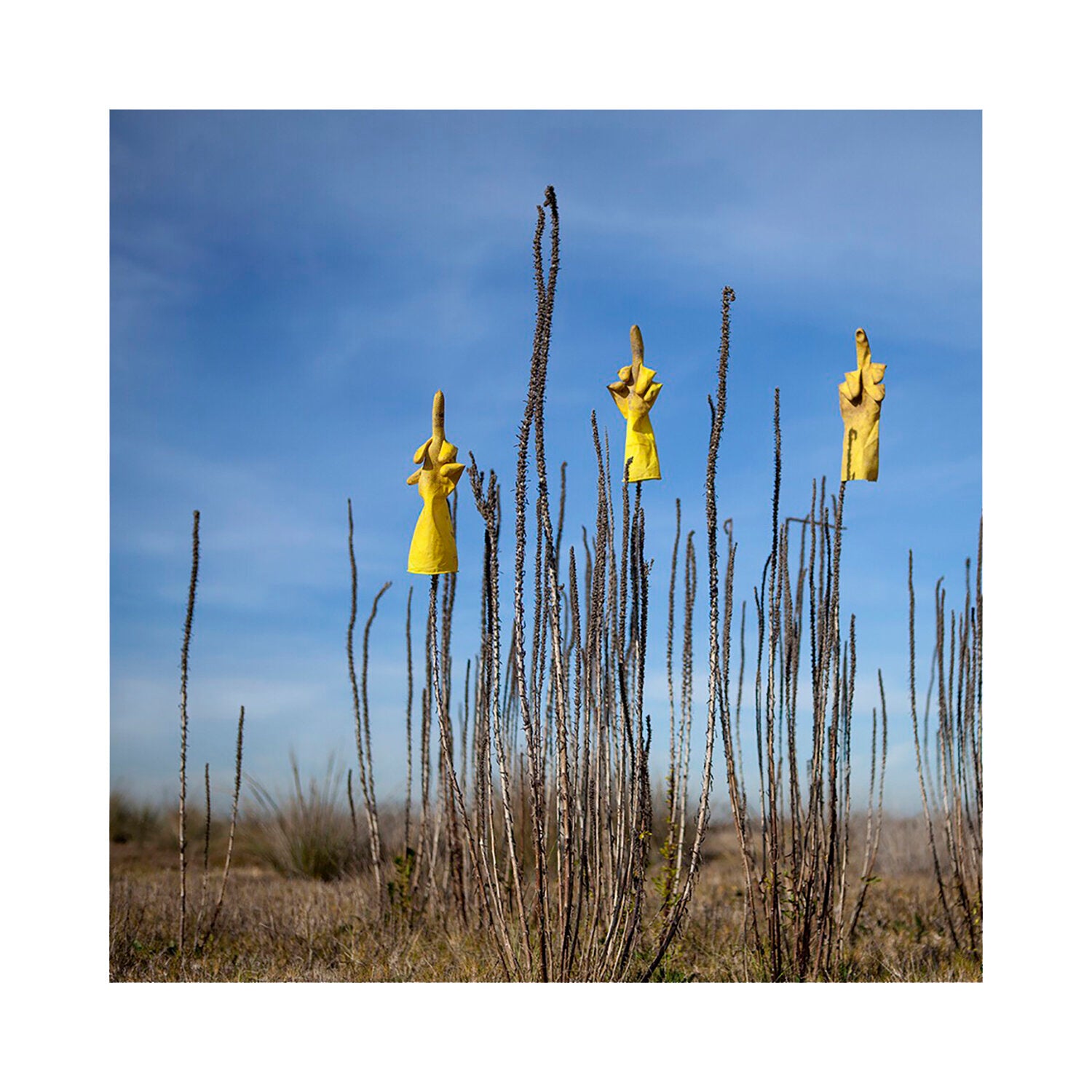 '9' Hands All Over Series – Studio Gallery Group